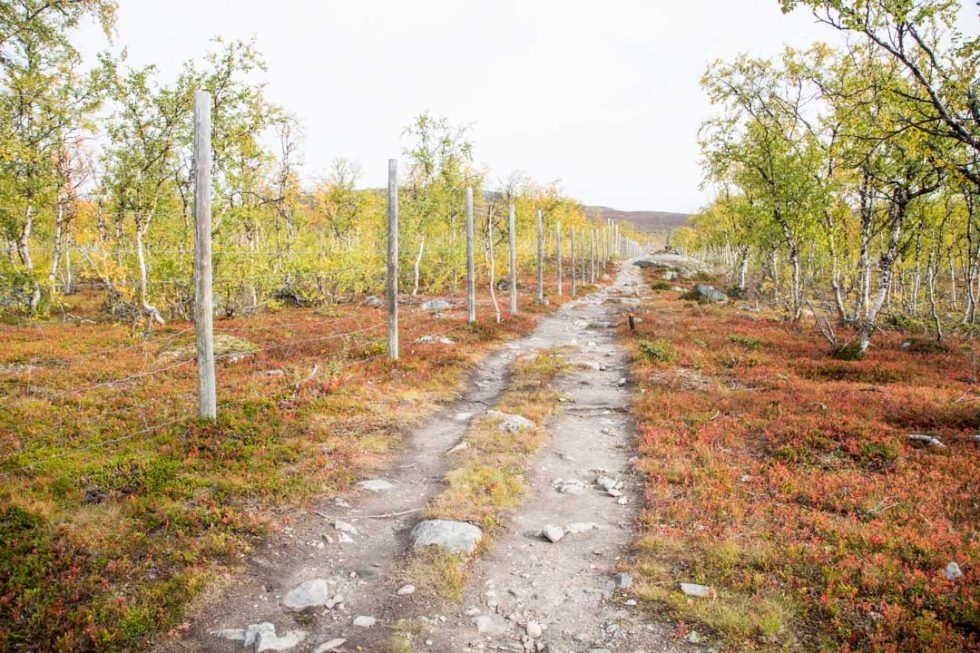 Mallan luonnonpuisto ruska-aikaan - Matkalla Missä Milloinkin