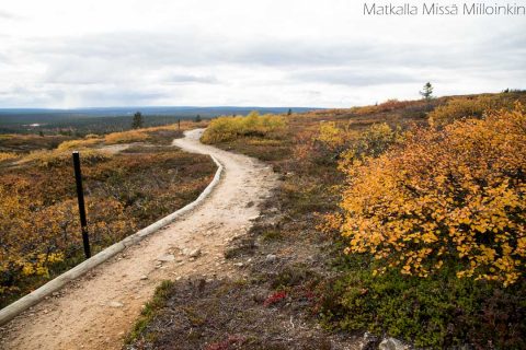 Urho Kekkosen kansallispuisto - Iisakkipään polku - Matkalla Missä ...