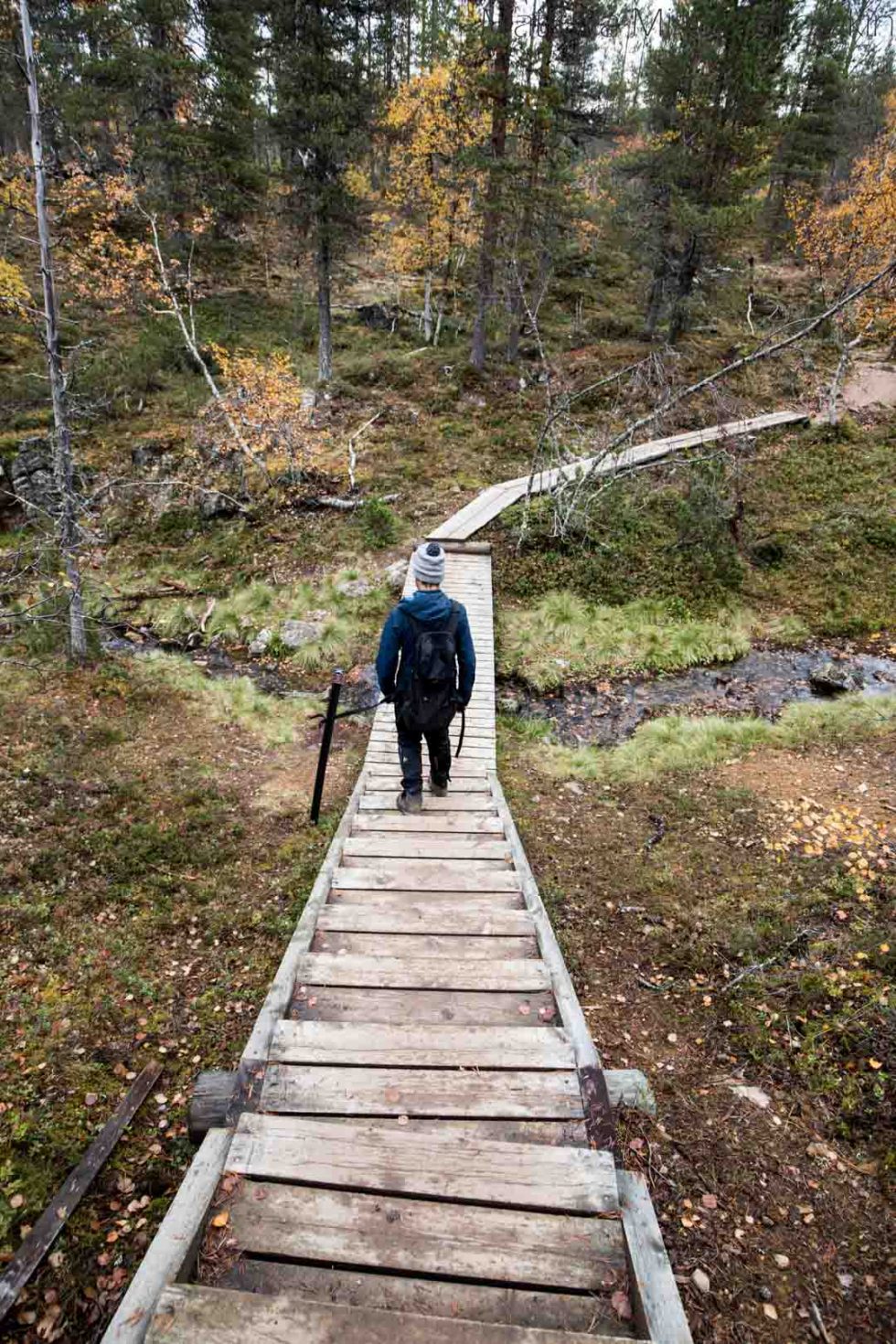 Urho Kekkosen kansallispuisto - Iisakkipään polku - Matkalla Missä ...