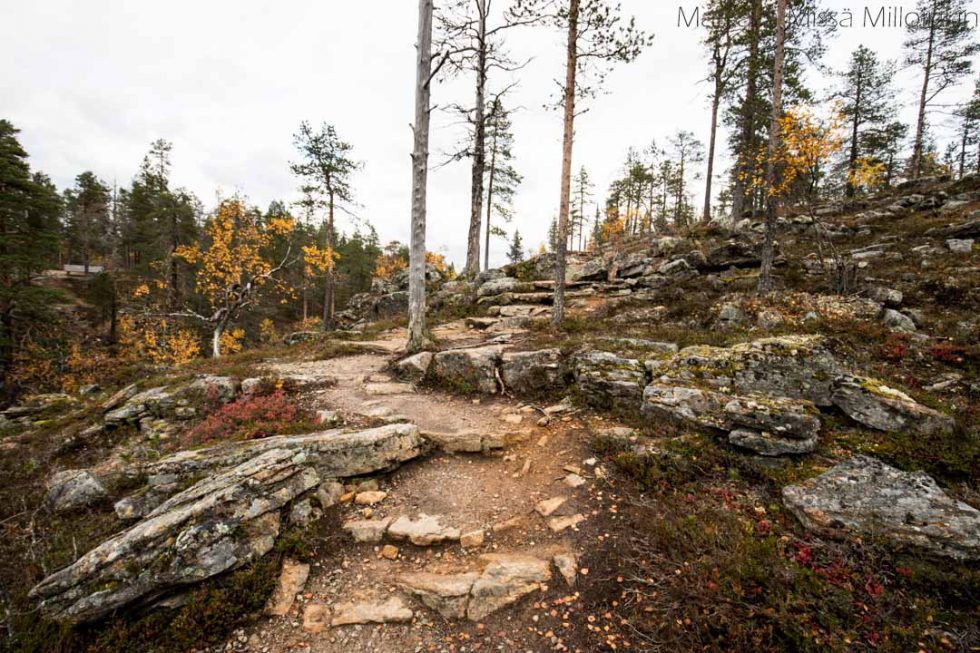 Urho Kekkosen kansallispuisto - Iisakkipään polku - Matkalla Missä ...