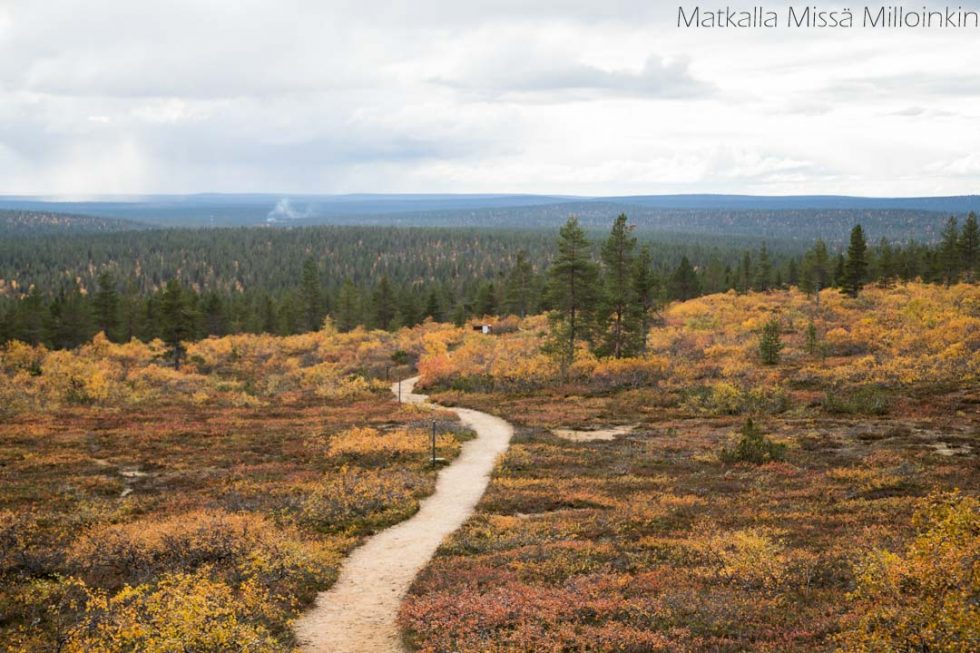 Urho Kekkosen kansallispuisto - Iisakkipään polku - Matkalla Missä ...