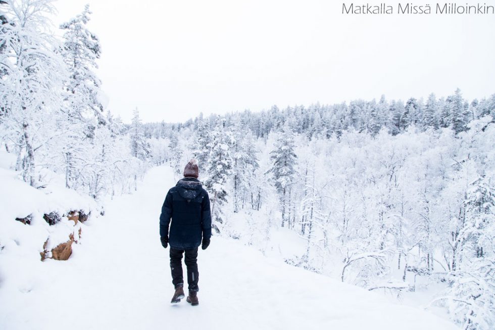 Urho Kekkosen kansallispuisto - Iisakkipään luontopolku talvella ...