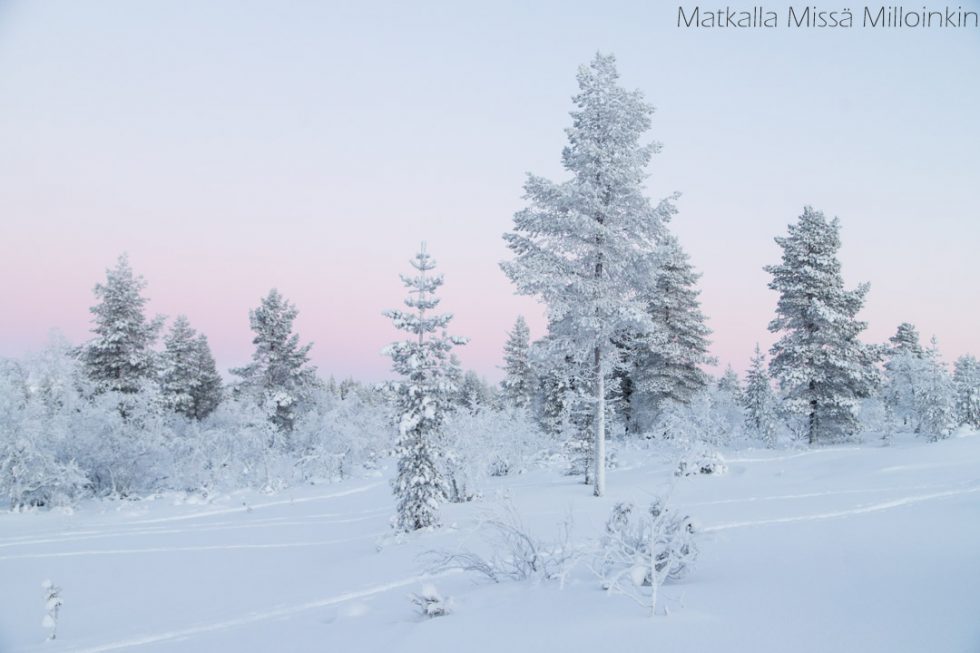 Urho Kekkosen kansallispuisto - Kiirunapolku talvella - Matkalla Missä ...