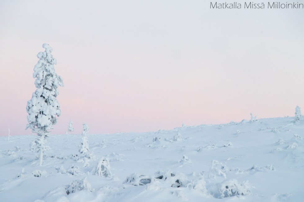 Urho Kekkosen kansallispuisto - Iisakkipään luontopolku talvella ...